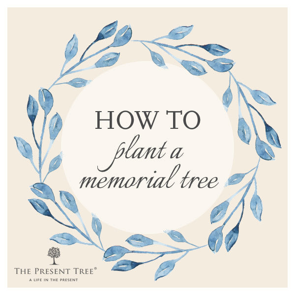 Planting a Memorial Tree | In Loving Memory | The Present Tree