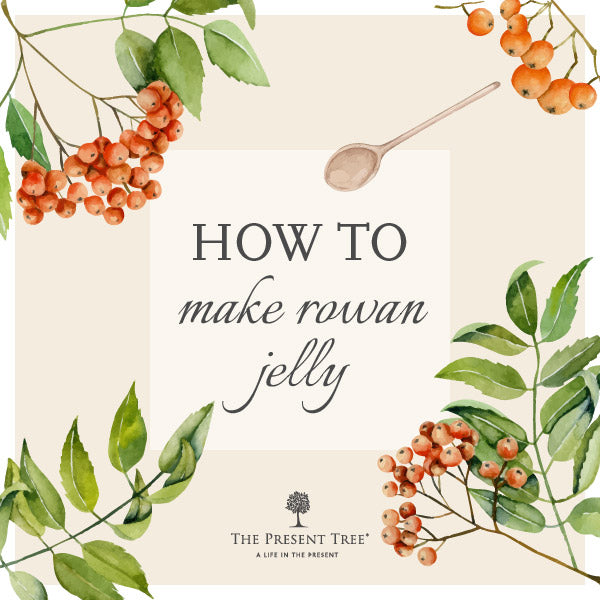 Rowan Jelly | Rowan Tree Recipes | The Present Tree