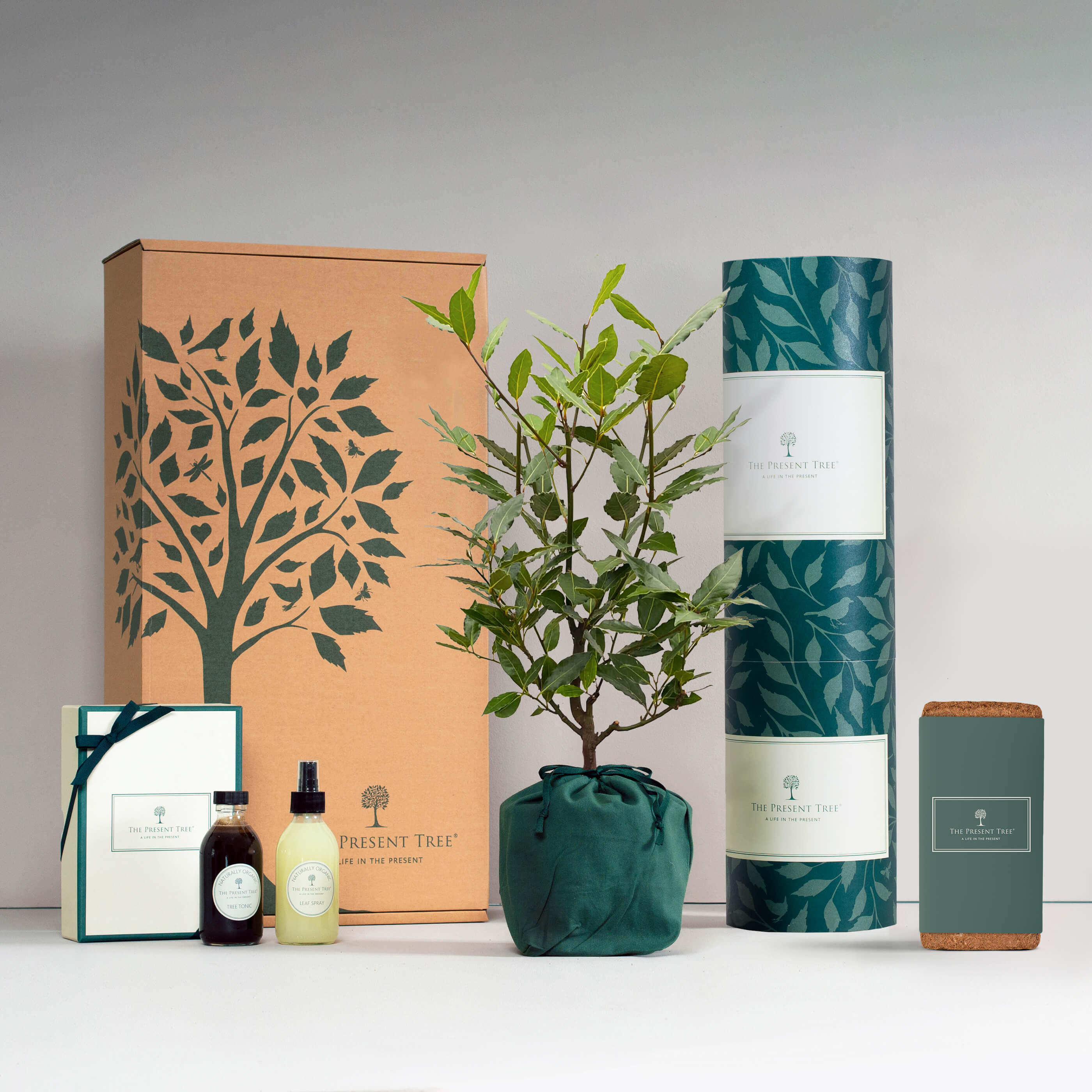 Gifts Over £50 | Ethical Gifts | The Present Tree