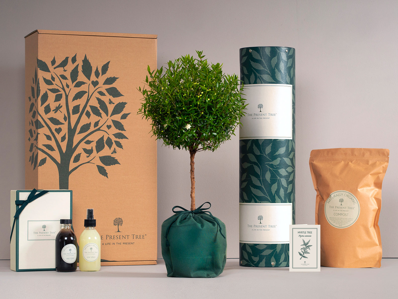 Gifts Over £60 | Luxury Garden Gifts | The Present Tree