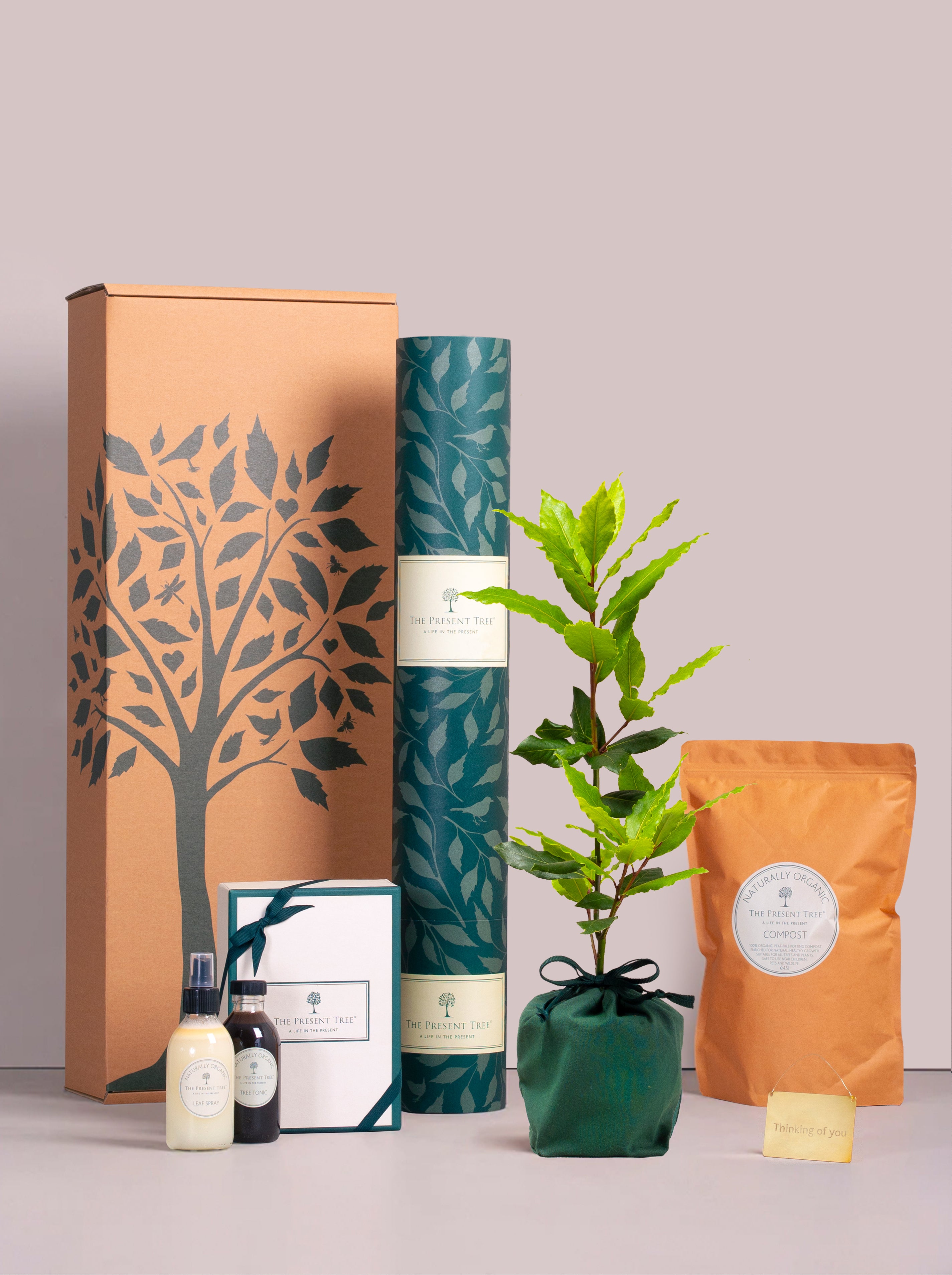 Memorial Tree Hamper | Planting a Tree in Memory | The Present Tree