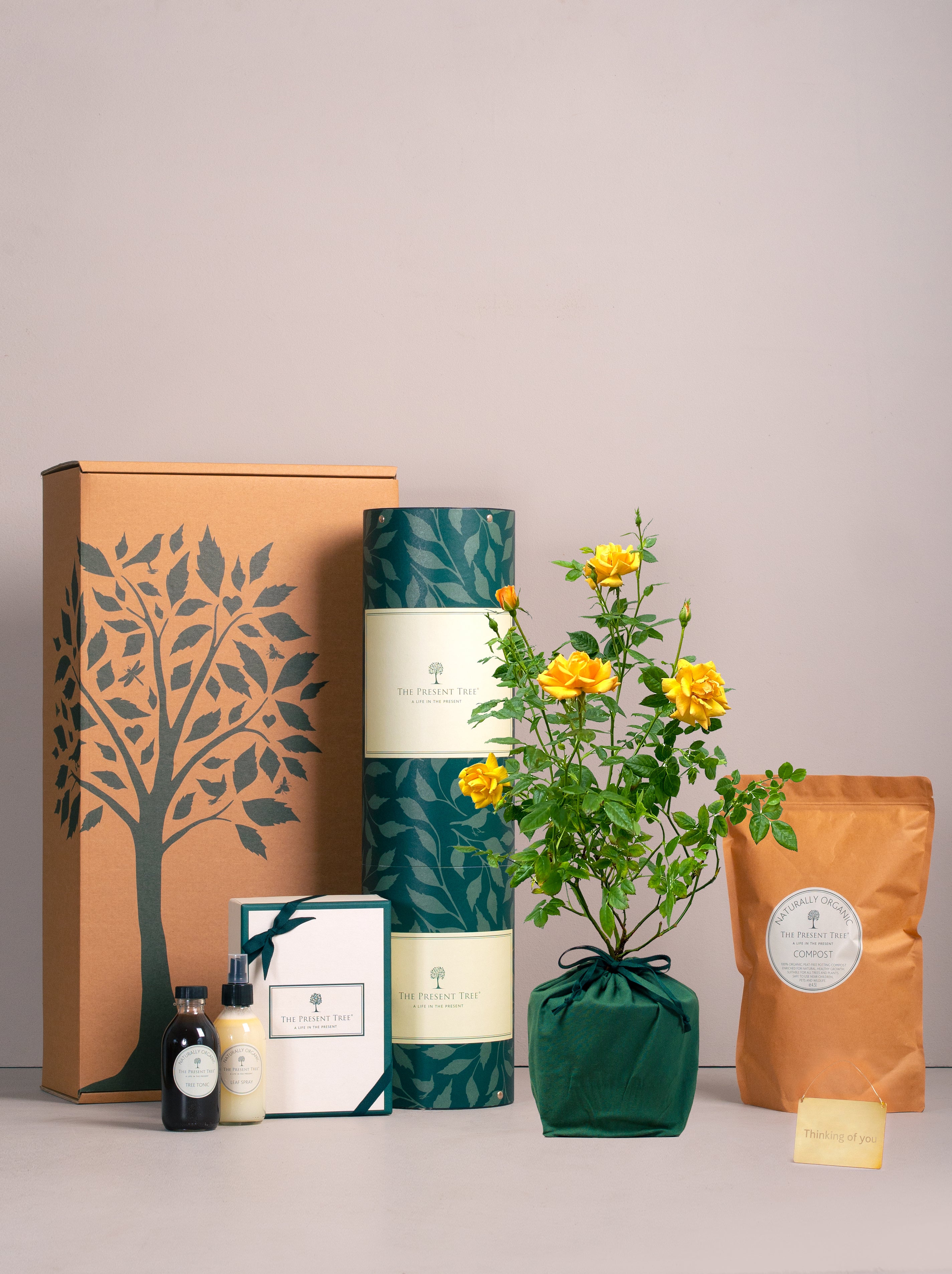 Memorial Tree Hamper | Planting a Tree in Memory | The Present Tree