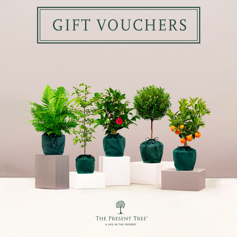 Ethical Gift Vouchers | The Present Tree