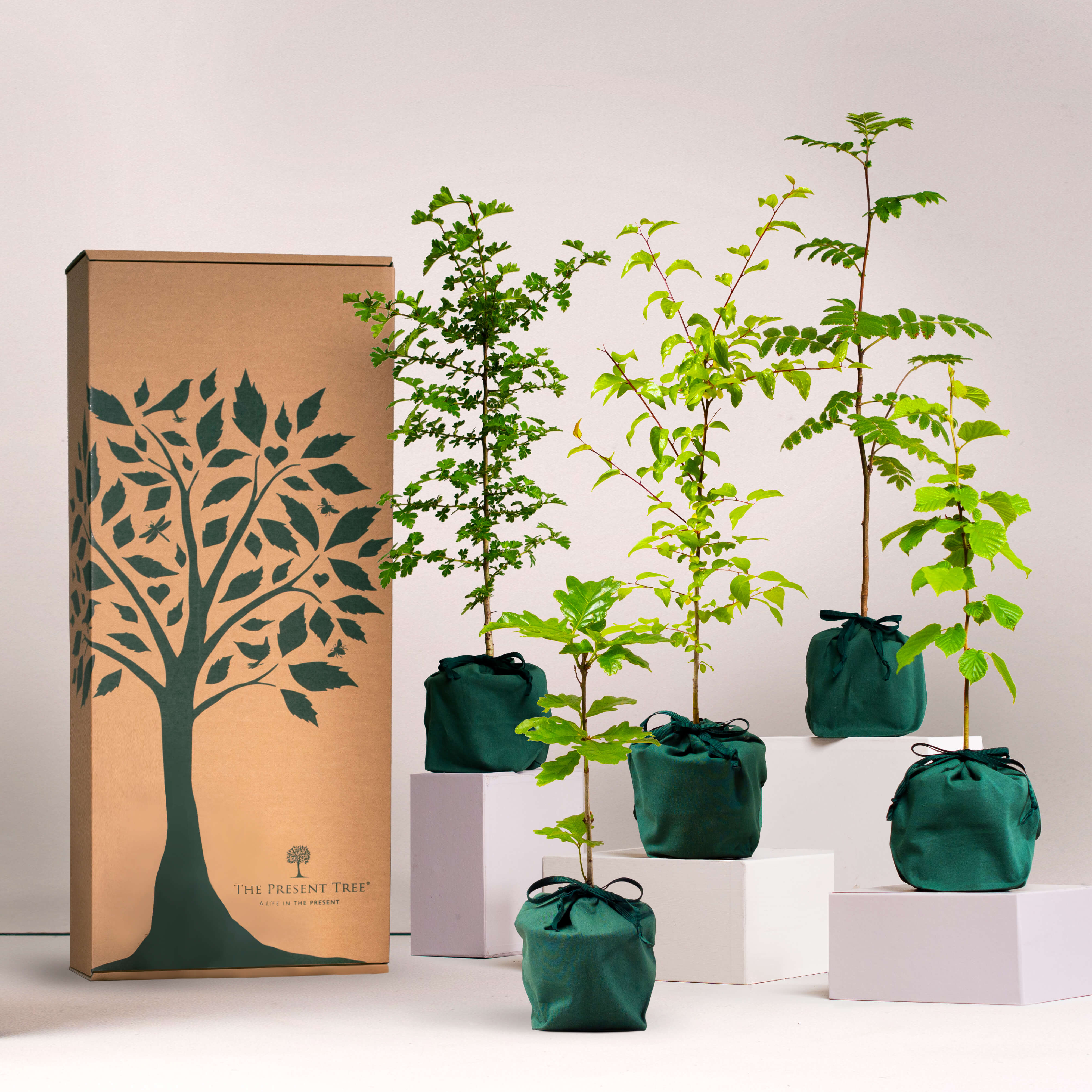 Wildlife Wood Hamper| The Present Tree | Extraordinary Gifts