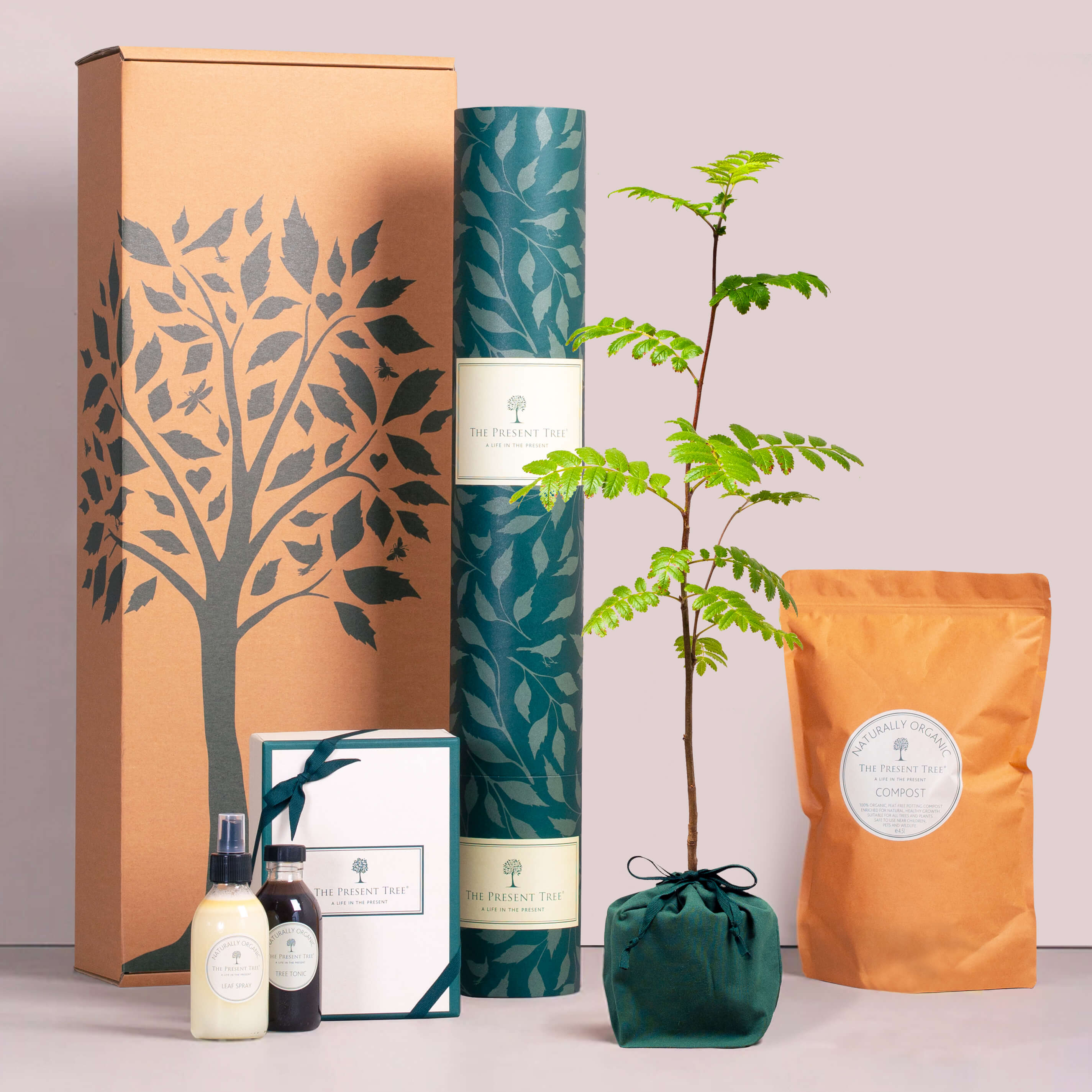Memorial Tree Hamper | Planting a Tree in Memory | The Present Tree