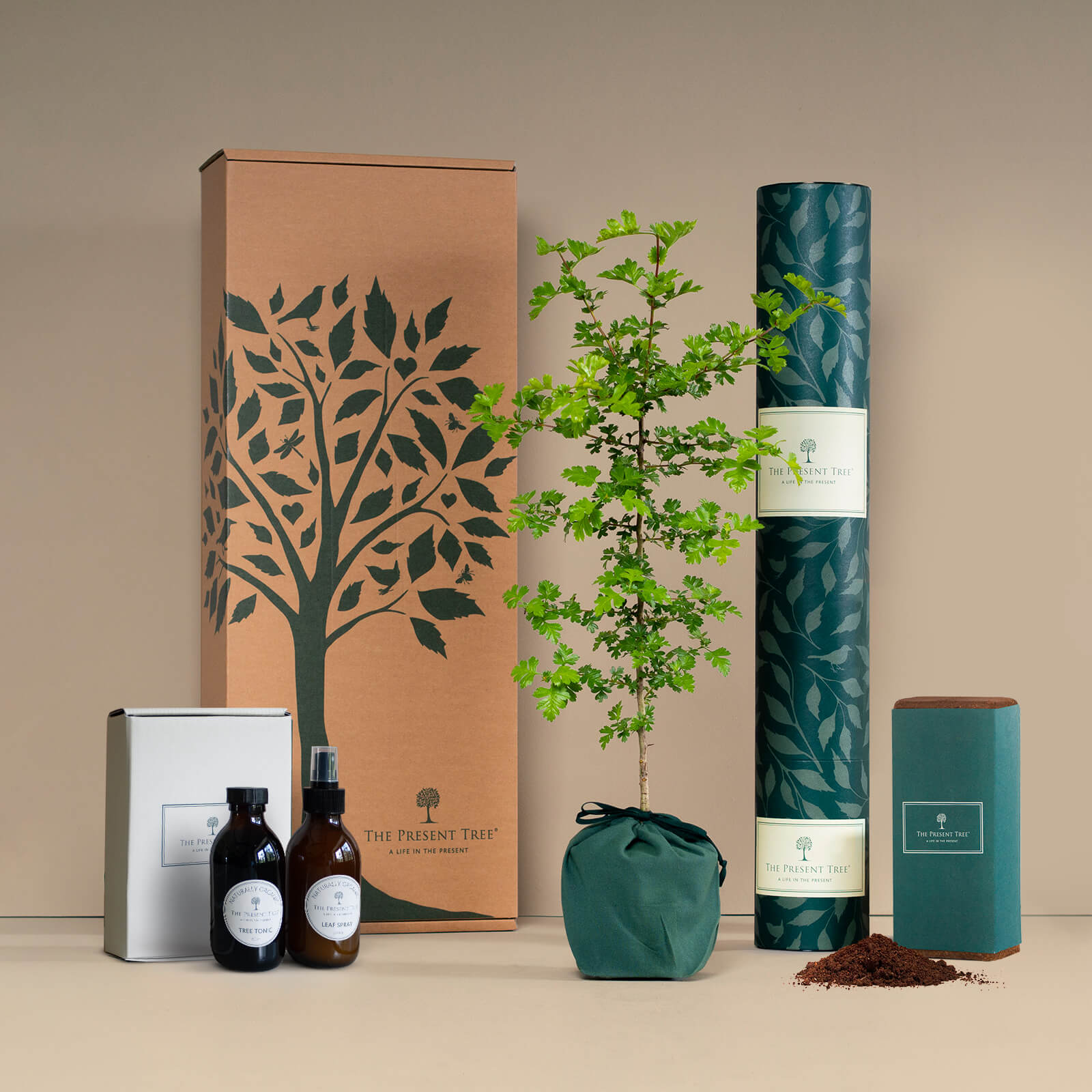 Memorial Tree Hamper | The Present Tree | Planting a Tree in Memory