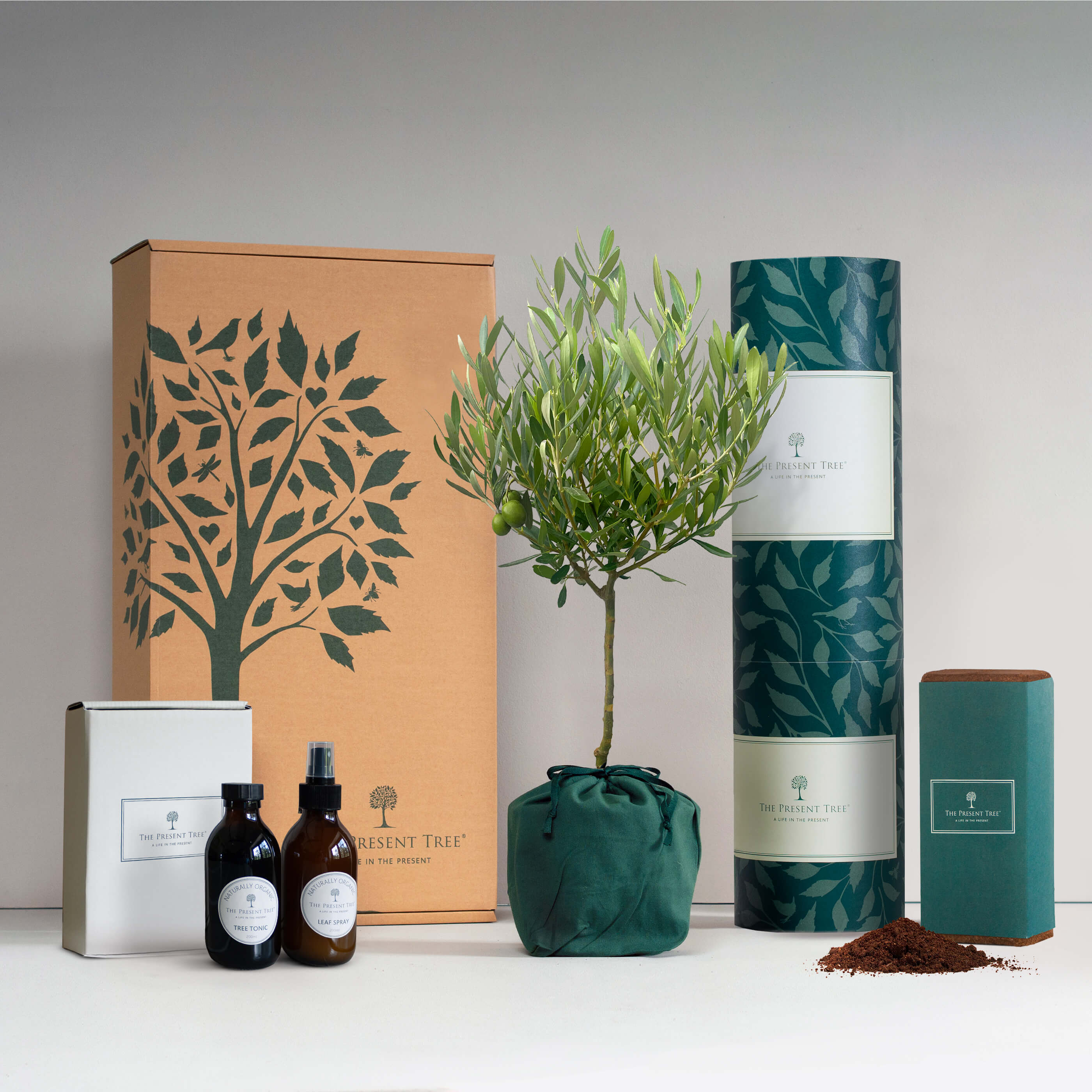 Olive Tree Gift | The Present Tree | Gift Hamper