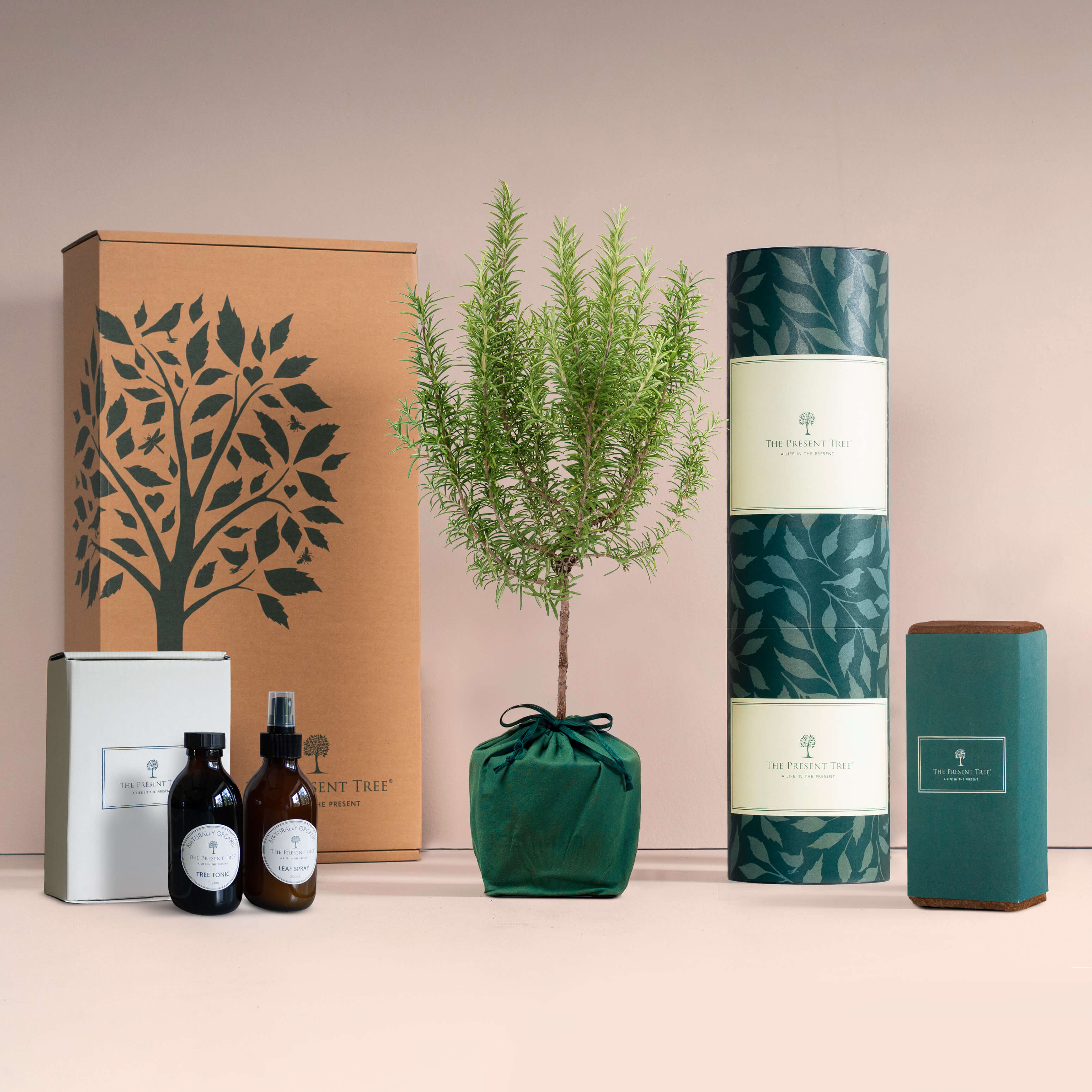 Rosemary Gift Hamper | The Present Tree | Garden Hamper