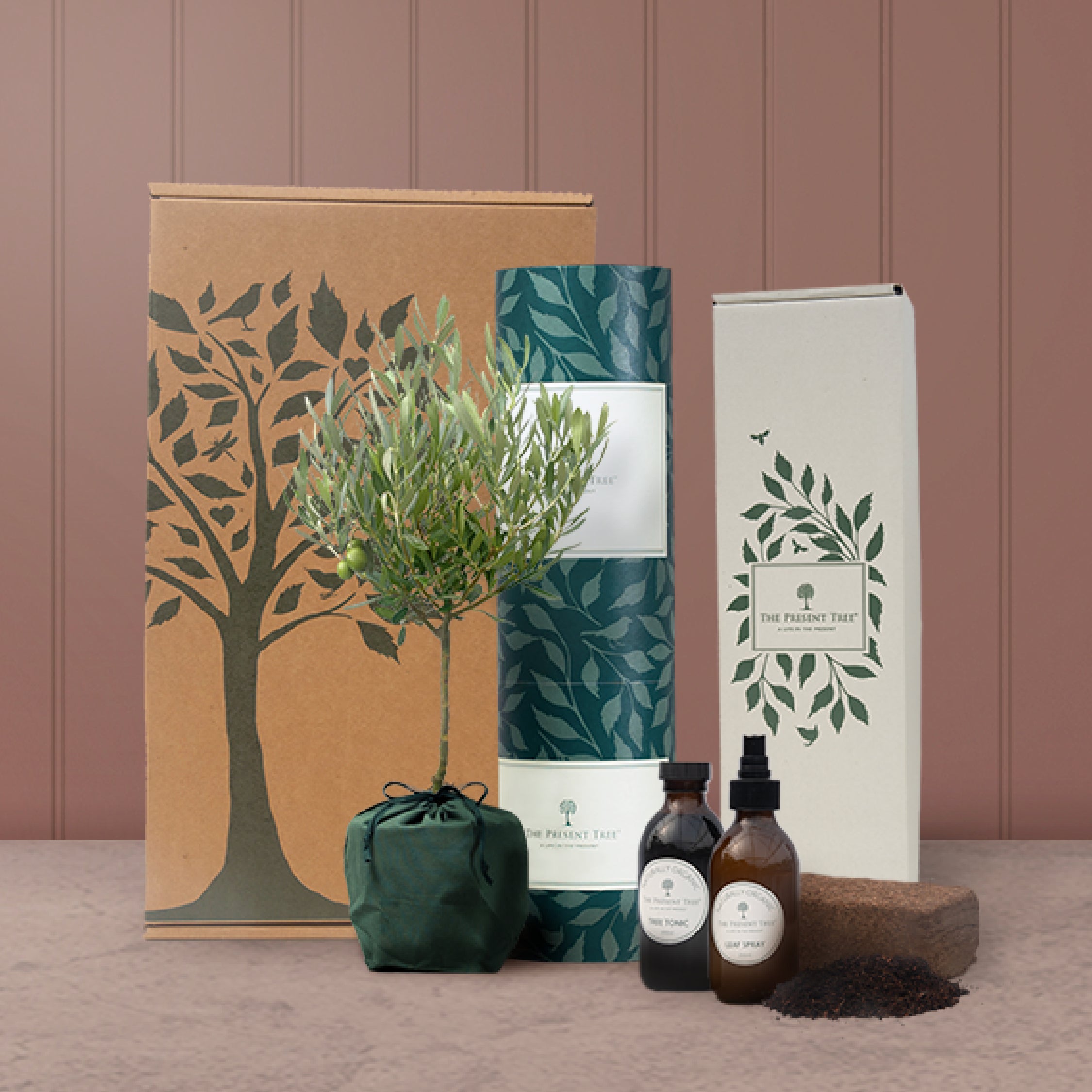 Olive Tree Gift | The Present Tree | Gift Hamper