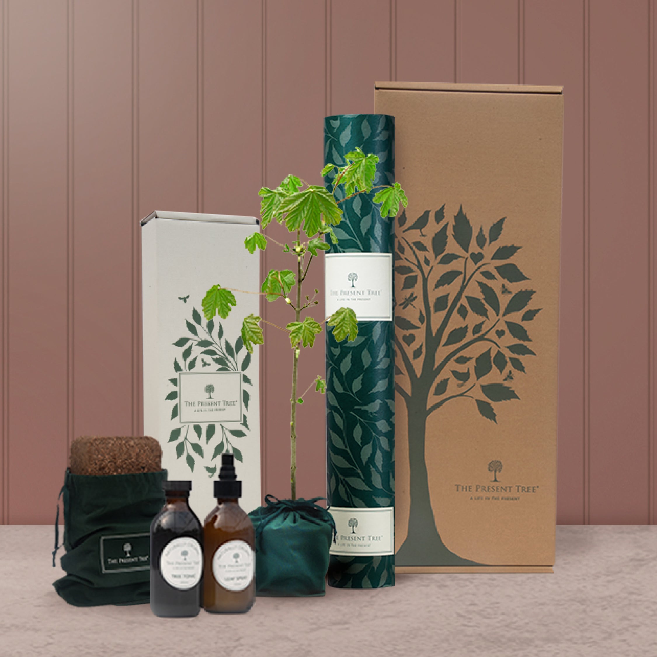 Maple Tree Gift | The Present Tree | Gift Hamper