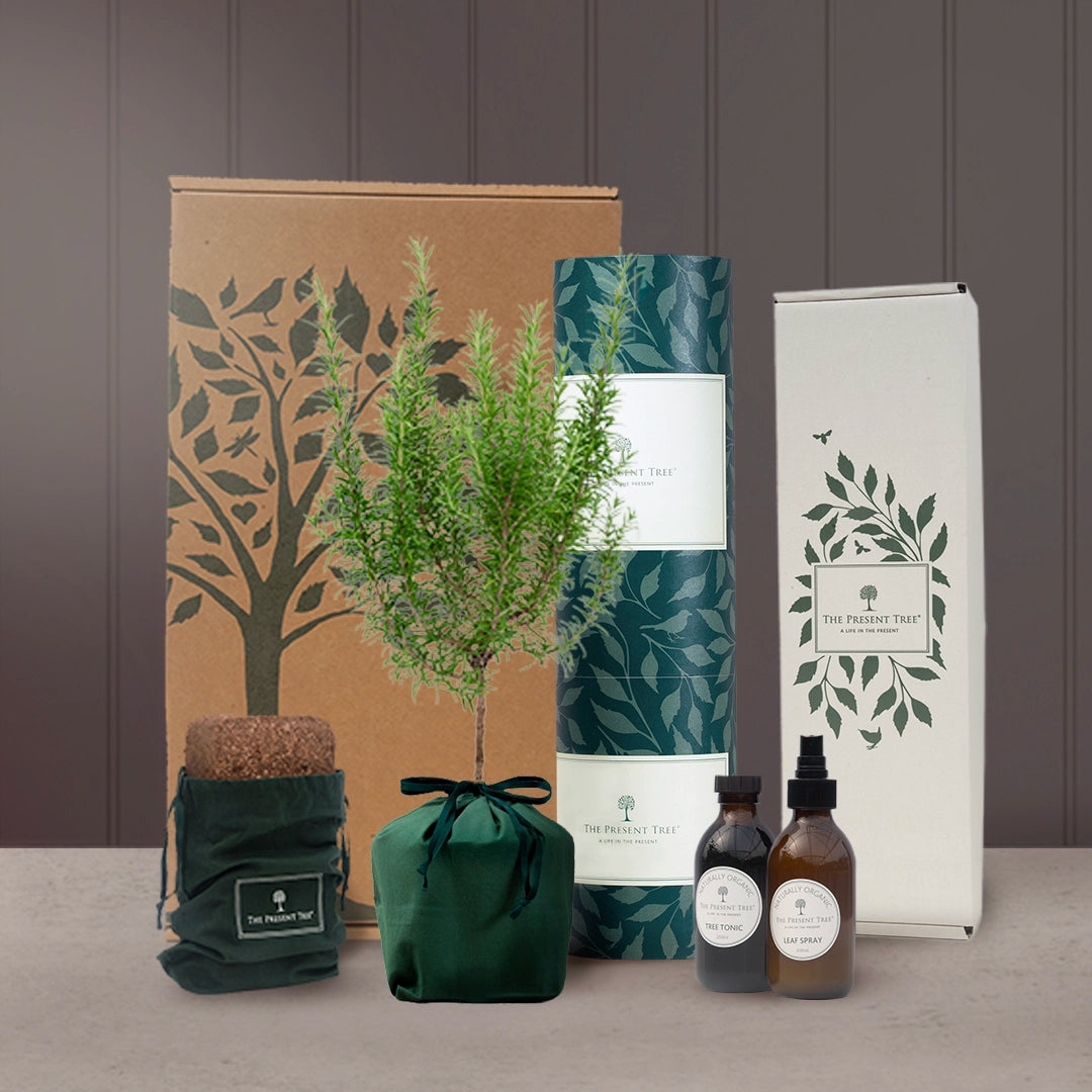 Rosemary Gift Hamper | The Present Tree | Garden Hamper