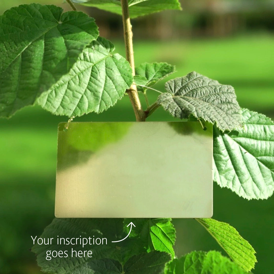 Engraved Tree Plaque | The Present Tree | Tree Gifts | Personalised