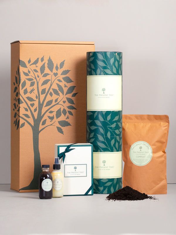 Wild Plum Tree Gift | Garden Gift Ideas | The Present Tree