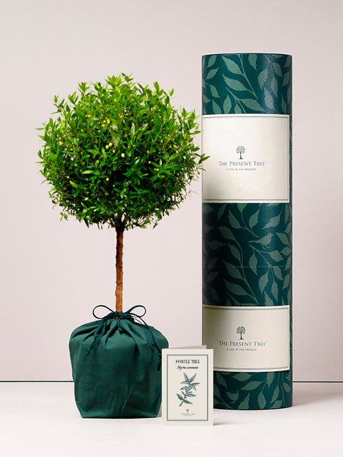 Retirement Gifts | Thoughtful Tree Gifts | The Present Tree